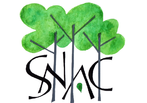 Swarland and Newton Action on Climate